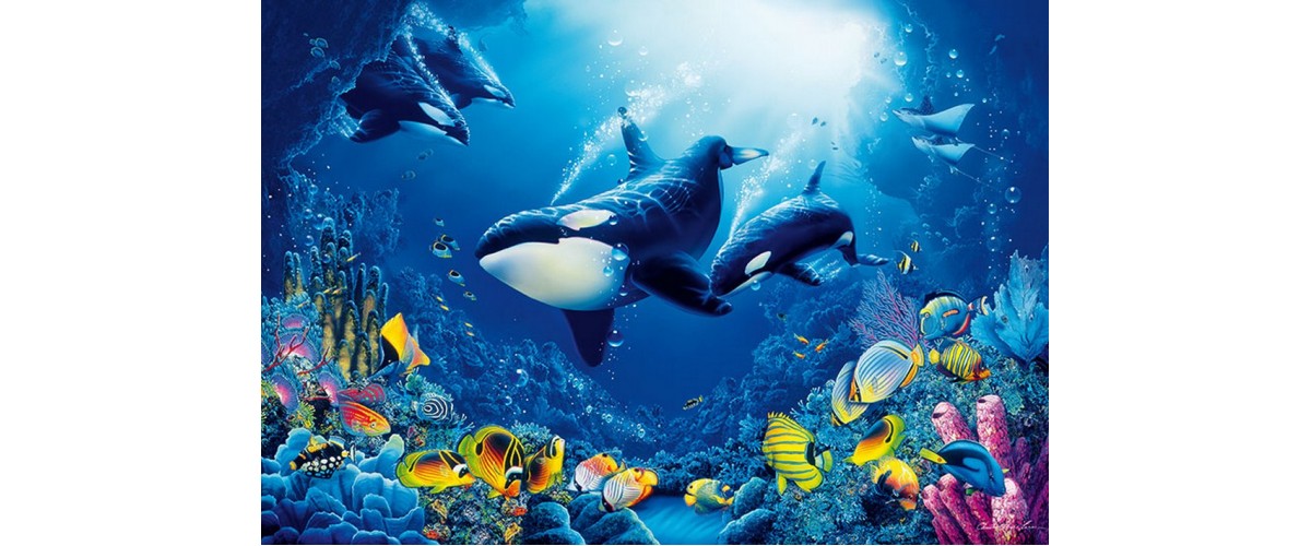 Balbaid Decor Co Store